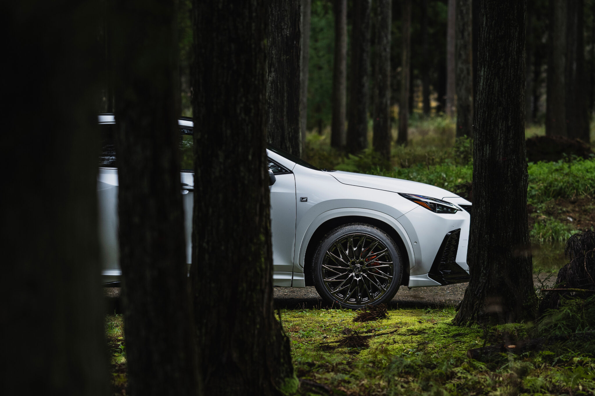 HOUOH / 鳳凰 】 - 株式会社クライメイト